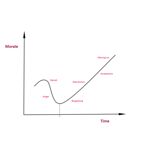 The Change Curve | Accipio